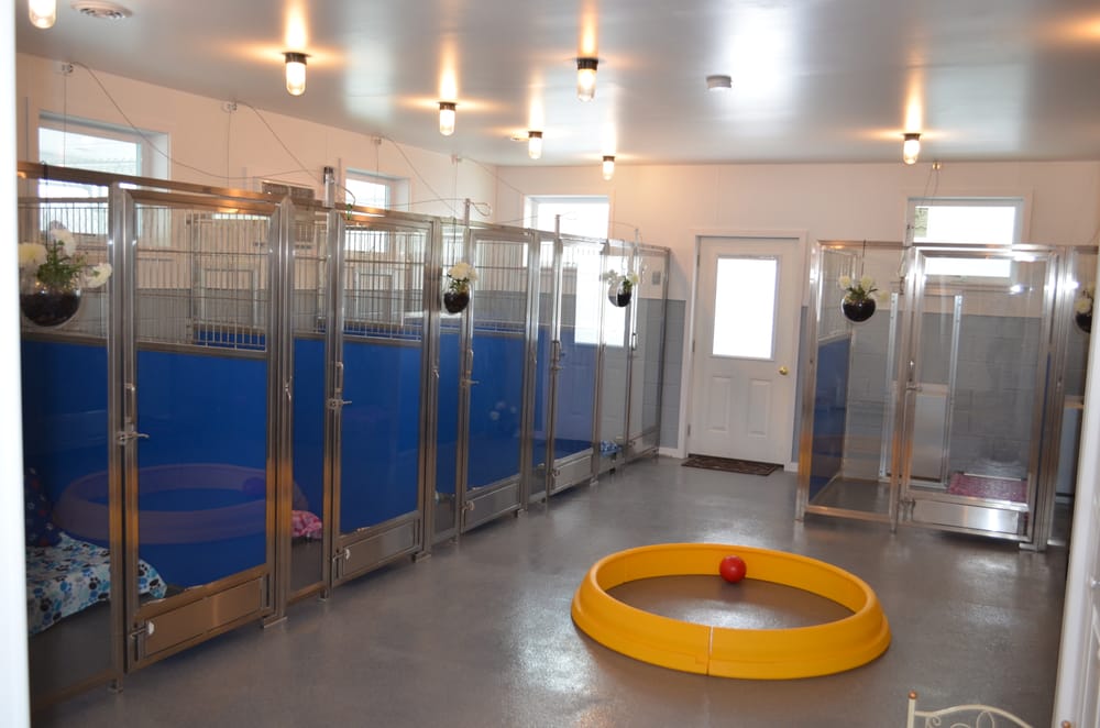 D & D KENNELS - Updated January 2026 - 108 Photos & 12 Reviews - 416 Hartz Rd, Fleetwood ...