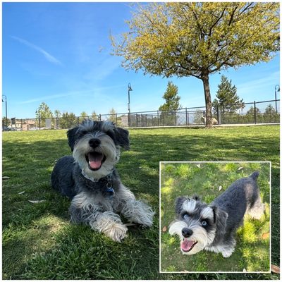 VILA BORBA PARK - 172 Photos & 81 Reviews - 17001 Amadora Dr, Chino ...