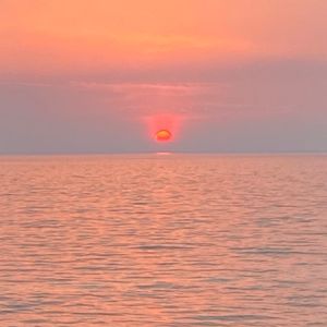 WATERMARK BAR & GRILL - 40 Photos & 36 Reviews - 1033 Black Oak Rd ...