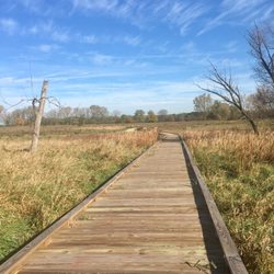 OAK FOREST HERITAGE PRESERVE - 28 Photos - 16200 Fieldcrest Dr, Oak ...