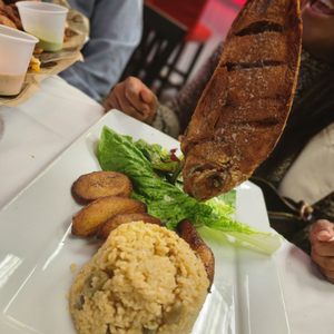 CASA CUBANA - 162 Photos & 138 Reviews - 10901 Forest Pines Dr, Raleigh ...