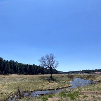 SHOW LOW BLUFF HIKING TRAIL - Updated October 2025 - 62 Photos - 769 S ...