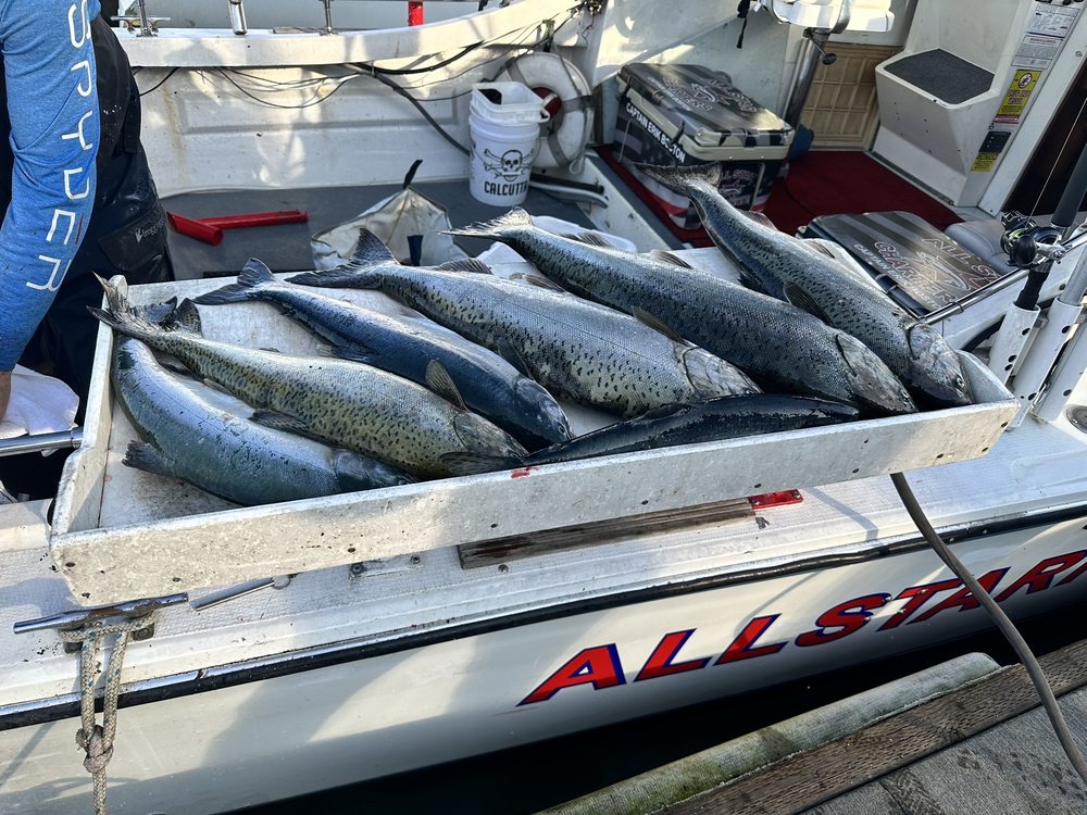 ALL STAR FISHING CHARTERS - Updated August 2024 - 25 Photos & 10 ...