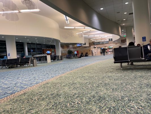 SPRINGFIELD-BRANSON NATIONAL AIRPORT - SGF - Updated October 2025 - 229 ...