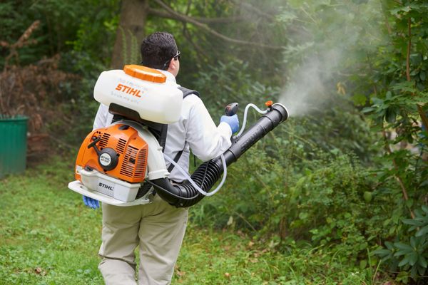 MODERN PEST SERVICES - Updated December 2025 - 12 Photos & 25 Reviews ...