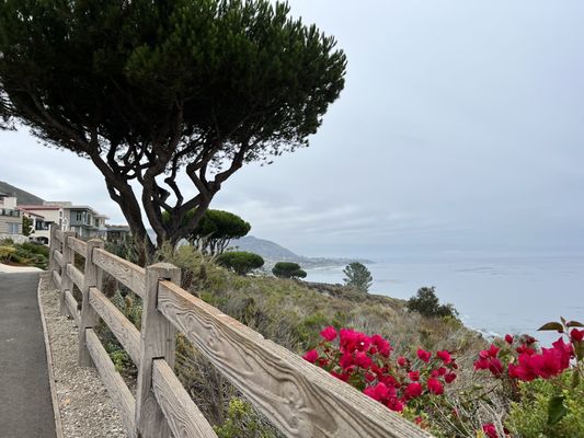 SHELL BEACH BLUFF TRAIL - Updated December 2025 - 32 Photos - Indio Dr ...