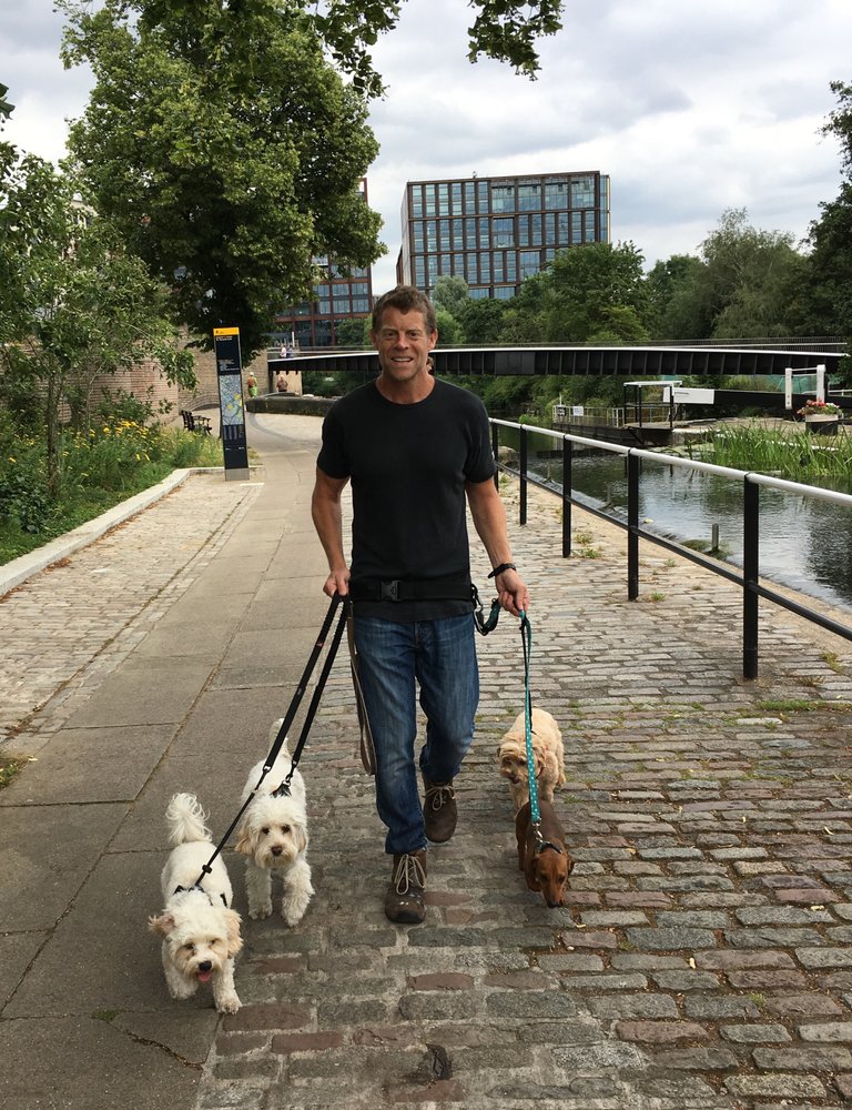 KINGS CROSS DOGS - Request a Quote - Kings Cross Road, London, United ...