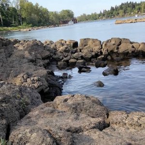 COOK PARK - Updated July 2025 - 48 Photos & 33 Reviews - 17005 SW 92nd ...