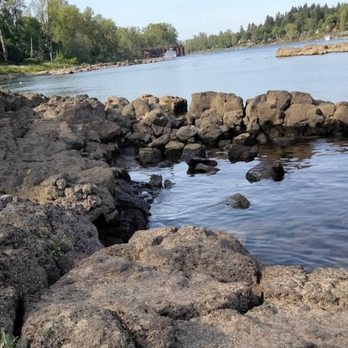 GEORGE ROGERS PARK - Updated August 2025 - 117 Photos & 53 Reviews ...