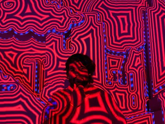 WONDER CHAMBER - Updated October 2024 - 90 Photos & 50 Reviews - 8800 ...