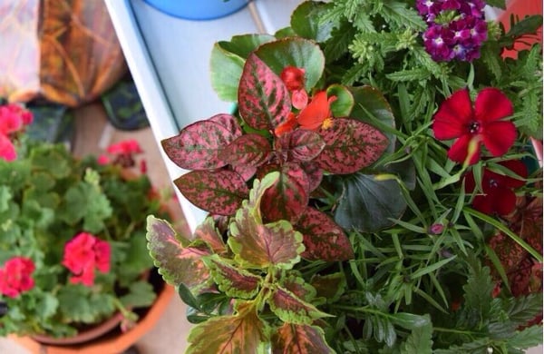 FRESH WAY PRODUCE - Updated December 2025 - 14 Reviews - 6900 Old ...