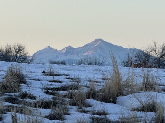 WANEKA LAKE PARK - Updated July 2025 - 73 Photos & 22 Reviews - 1600 Caria Dr, Lafayette ...