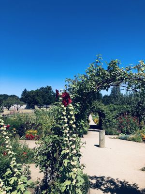 FORT VANCOUVER NATIONAL HISTORIC SITE - 365 Photos & 64 Reviews - 612 E ...