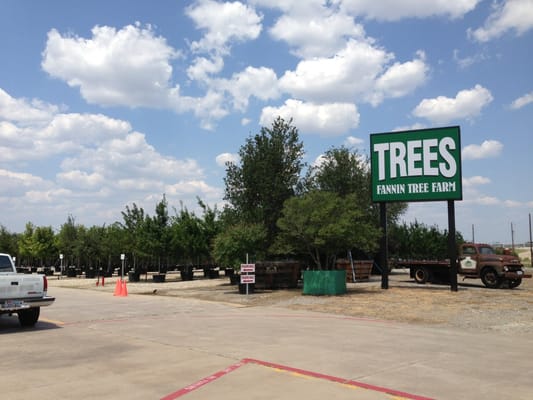 FANNIN TREE FARM - Updated December 2025 - 44 Photos & 70 Reviews ...