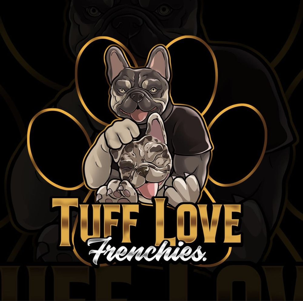 TUFF LOVE FRENCHIES - South Houston, Texas - Dog Walkers - Phone Number - Yelp