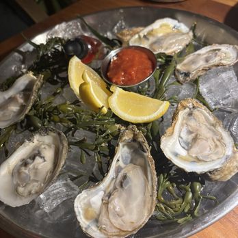 ÉLEVÉ - Updated January 2026 - 562 Photos & 335 Reviews - 55 Wentworth ...