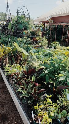 COURTNEY FARMS - Updated August 2024 - 17 Photos - 801 Washington Ave ...