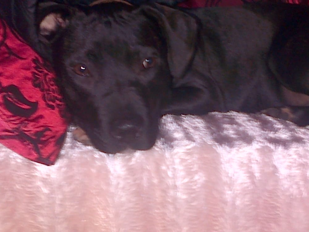 MONTAGU HOSPITAL - Updated April 2024 - Adwick Road, Mexborough, South ...