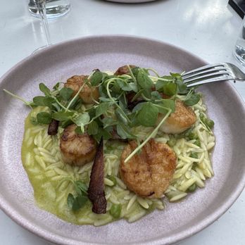 CLAIO ROTISSERIE - Updated August 2025 - 473 Photos & 241 Reviews ...