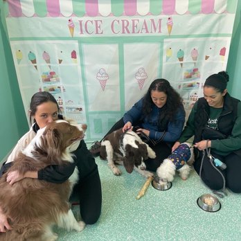 SALTY PAWS - Updated May 2025 - 59 Photos & 17 Reviews - 121 N ...