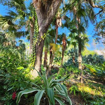 MCKEE BOTANICAL GARDEN - Updated December 2024 - 539 Photos & 87 ...