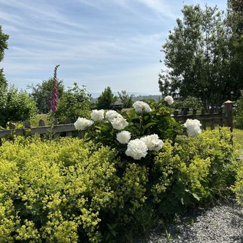 FARM TO MARKET BAKERY - Updated September 2024 - 192 Photos & 68 ...