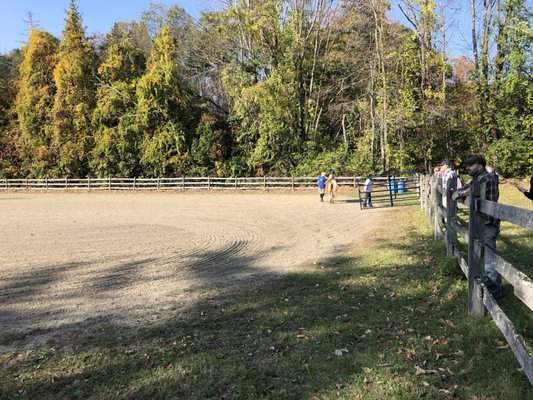 SERRA STABLES - Updated May 2026 - Request Information - 28 Photos ...