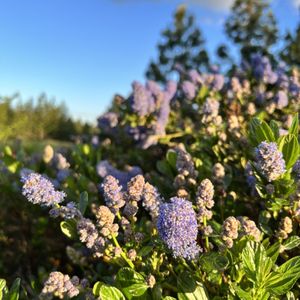 HIDDEN CREEK PARK WEST - Updated July 2025 - 39 Photos & 11 Reviews ...