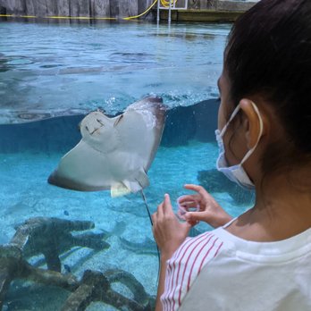 HOUSTON INTERACTIVE AQUARIUM AND ANIMAL ADVENTURE - Updated June 2024 ...