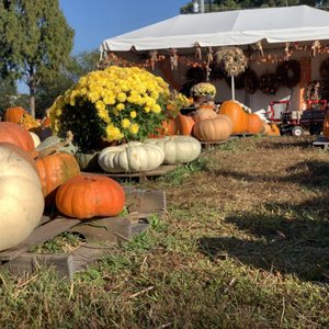 STATE FARMERS MARKET - Updated June 2025 - 927 Photos & 327 Reviews ...