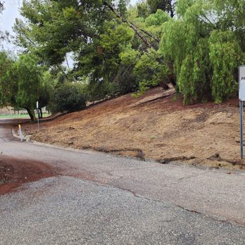 BREA DAM PARK - Updated December 2025 - 43 Photos - 1700 N Harbor Blvd ...