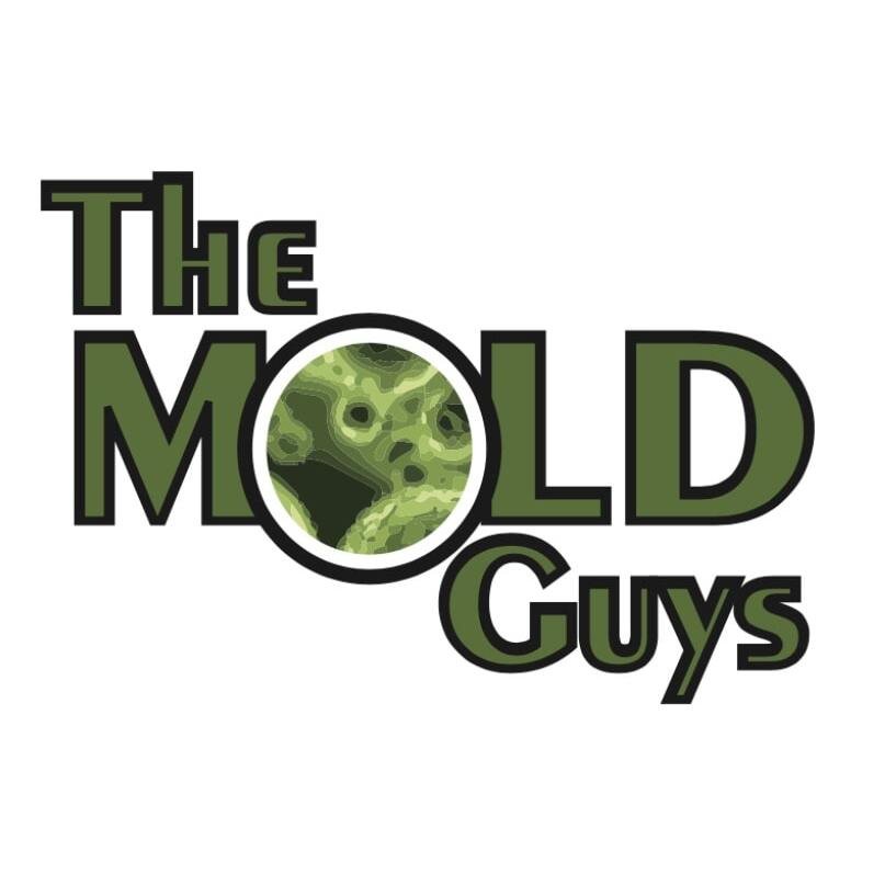 THE MOLD GUYS - 2600 Poplar Ave, Memphis, Tennessee - Damage ...