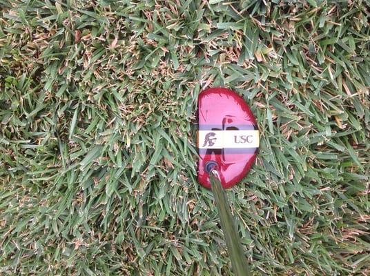 DAVID MUSTY PUTTERS - Updated October 2025 - 17308 1/2 Woodruff Ave ...