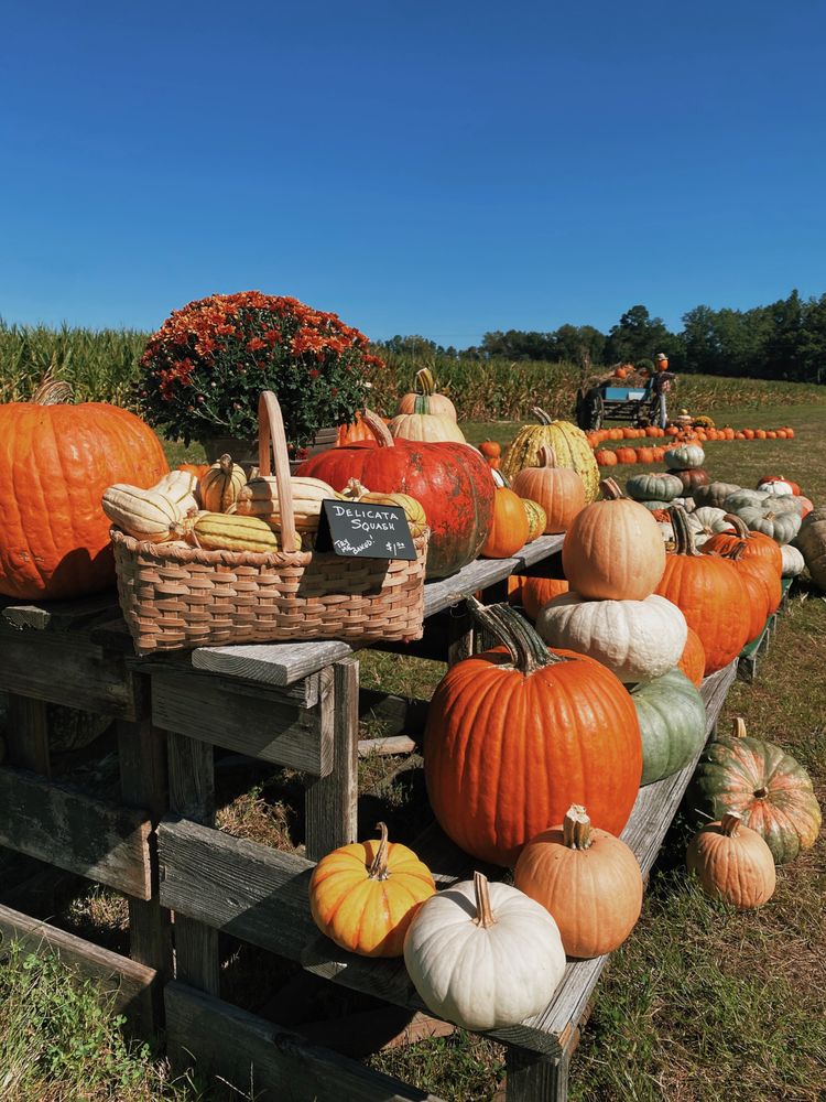 GOOSE HILL FARM - Updated July 2025 - 12 Photos - 22090 Bethel Rd ...