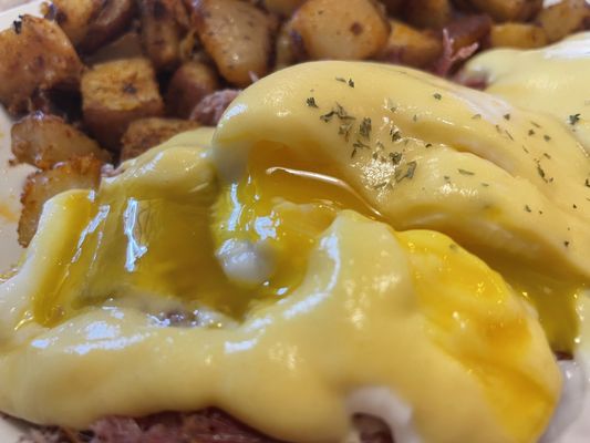 NELLIE ROSE - Updated December 2025 - 72 Photos & 116 Reviews - 557 ...