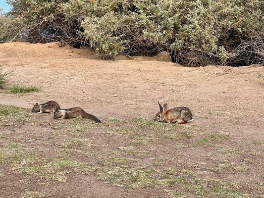 LIBERTY STATION NTC PARK - 564 Photos & 155 Reviews - 2455 Cushing Rd ...