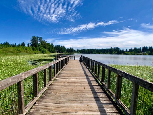 PHANTOM LAKE PARK - Updated April 2025 - 48 Photos - 2034 156th Ave SE ...