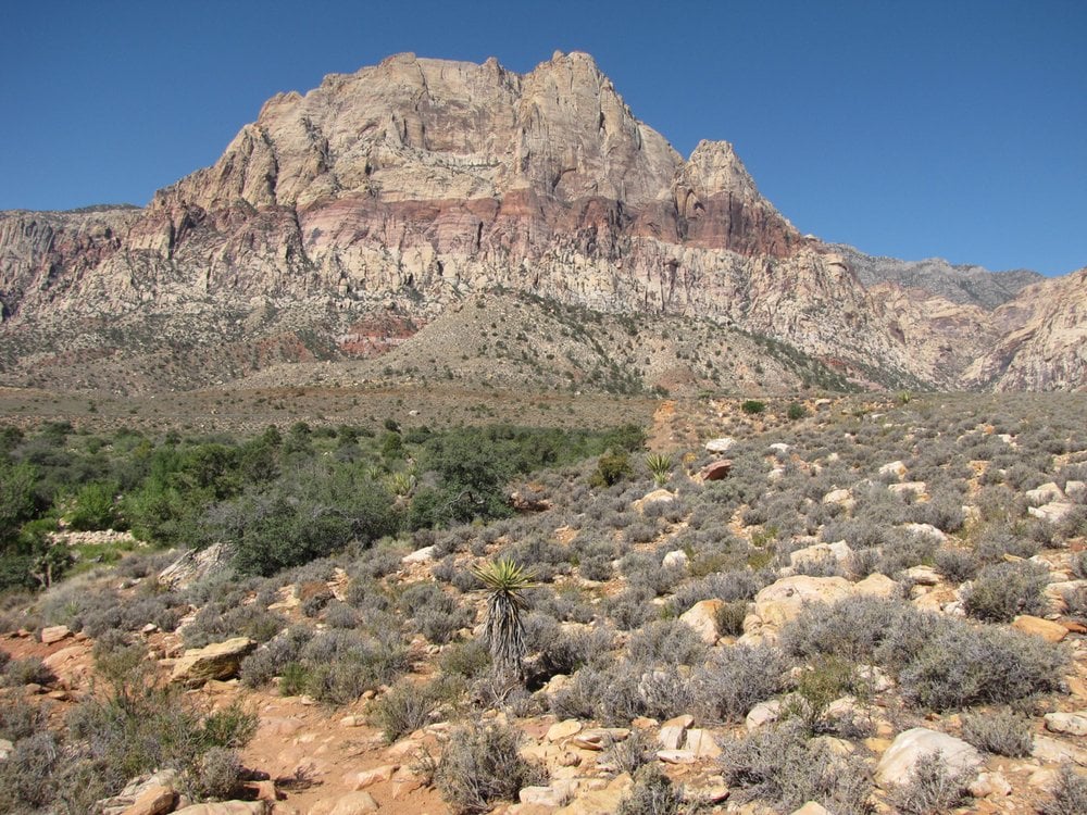 THE POTATO KNOLL - Updated May 2025 - 16 Photos - 3205 State Rte 159 ...