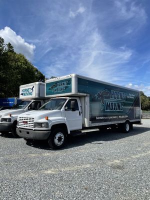 HORNET MOVING - Updated October 2025 - 81 Photos & 120 Reviews - 6161 ...