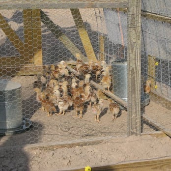 WOOD DUCK FARM - Updated June 2026 - 34 Photos - 270 Pine Valley Rd ...