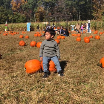 SECOR FARMS - Updated September 2025 - 238 Photos & 80 Reviews - 168 ...