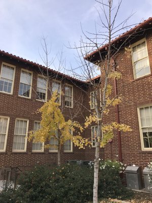 FRESNO CITY COLLEGE - Updated December 2025 - 72 Photos & 52 Reviews ...