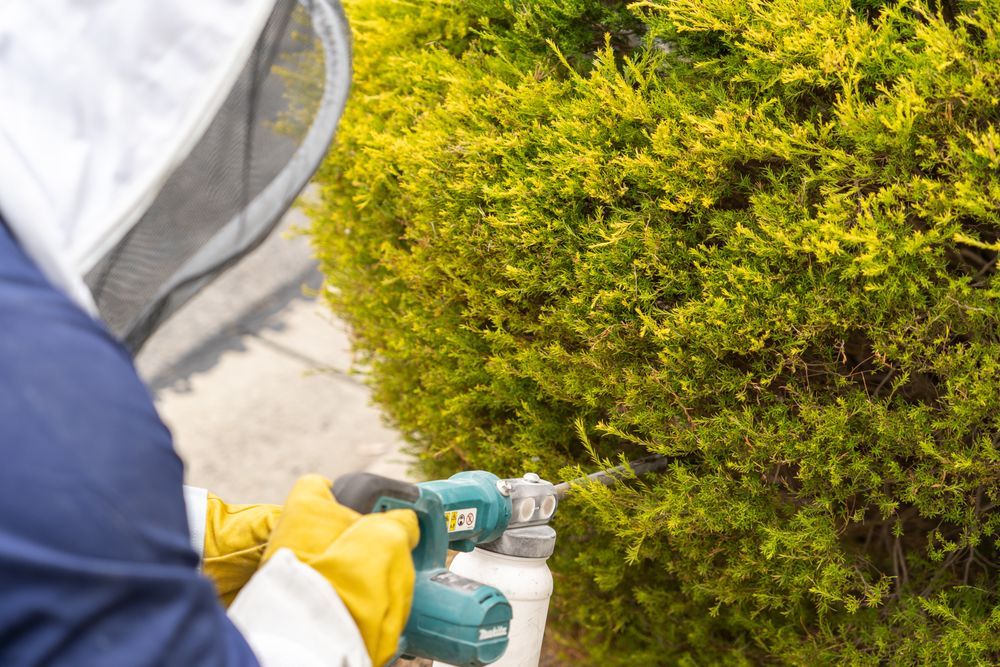 MURRAY PEST CONTROL - Updated October 2025 - 13 Photos - 67 Magill Rd ...