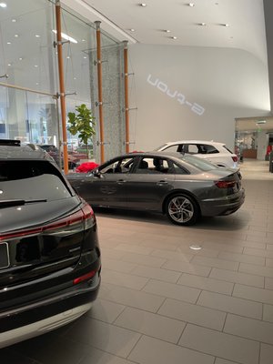 THE COLLECTION - Updated January 2026 - 458 Photos & 291 Reviews - 200 ...