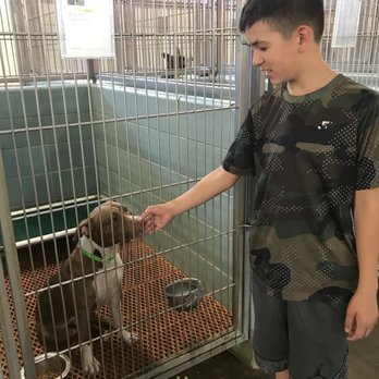 PINELLAS COUNTY ANIMAL SERVICES - Updated January 2026 - 13 Photos & 20 Reviews - 12450 Ulmerton ...