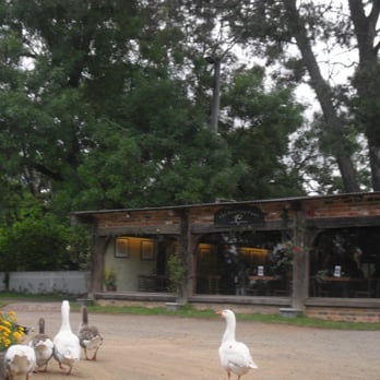 MONTSALVAT - Updated October 2025 - 24 Photos - 7 Hillcrest Ave, Eltham ...