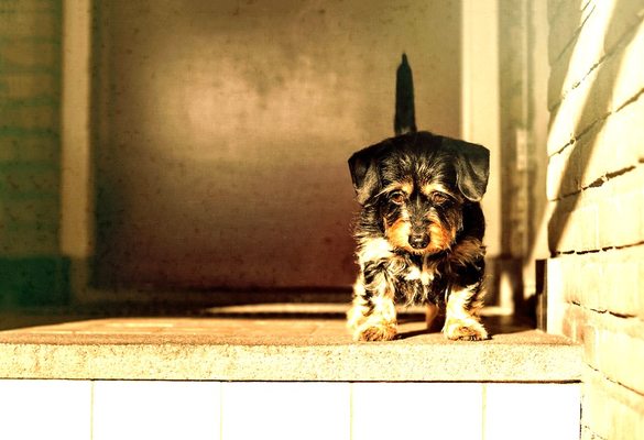 KEYSTONE RACEWAY PARK - Updated December 2025 - 538 Stone Jug Rd, New ...