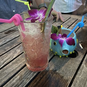 PUFFERFISH - Updated May 2024 - 64 Photos & 22 Reviews - 411 E Mason St ...