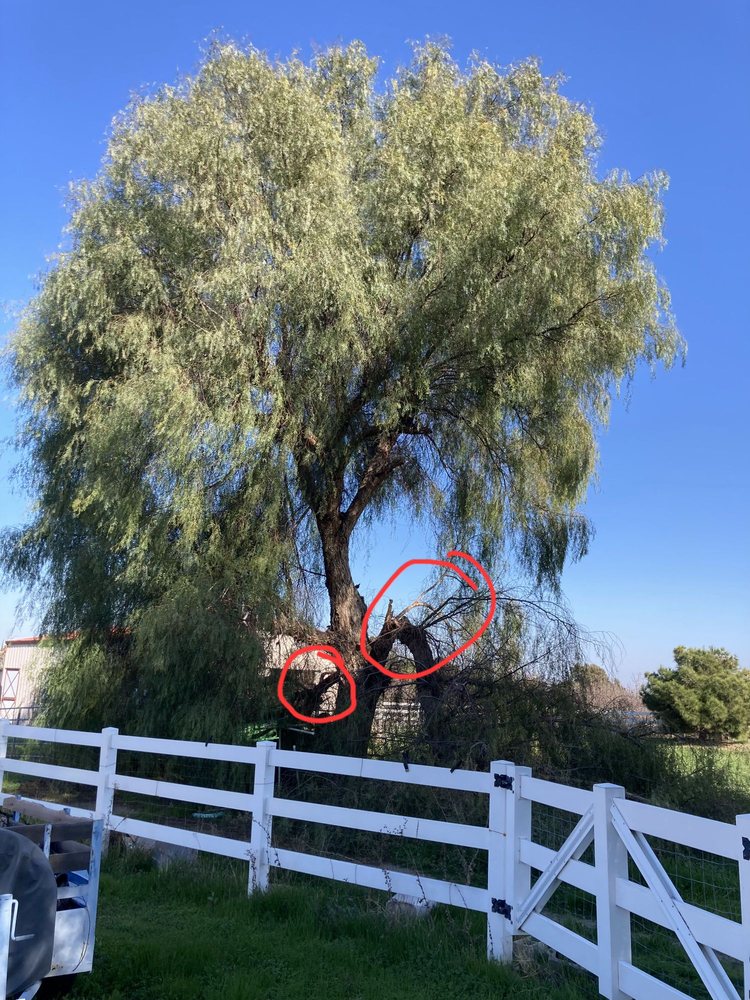 Turf-N-Tree - Updated May 2026 - 82 Photos & 87 Reviews - 150 Sloan Ct ...