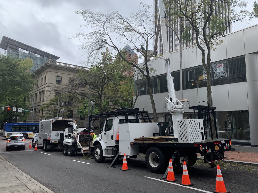 STRIPLIN’S TREE SERVICE - Updated June 2025 - Portland, Oregon - Tree ...
